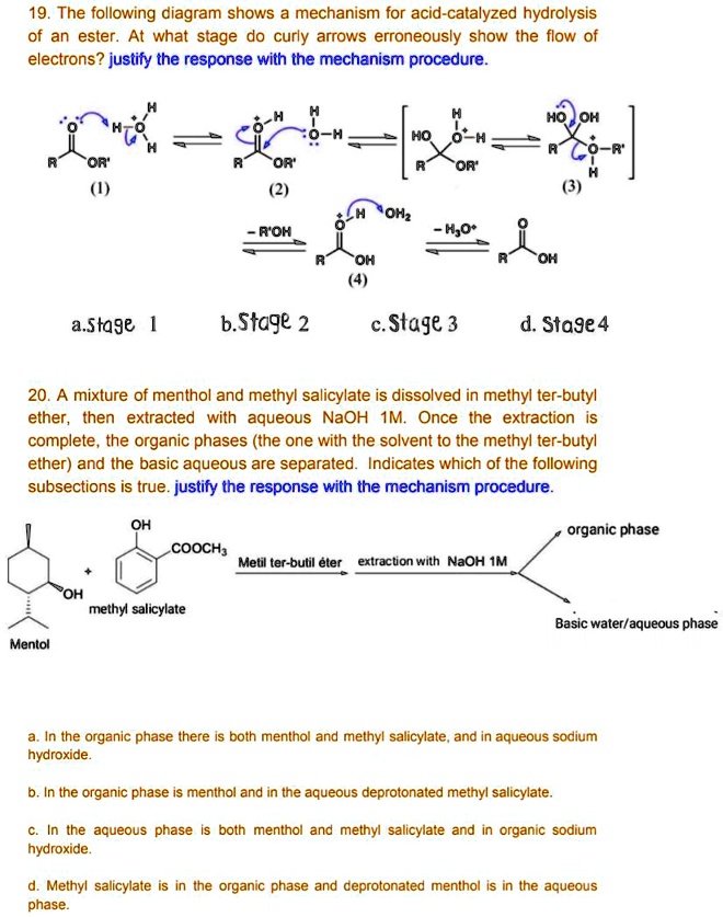19. The following diagram shows a mechanism for acid-catalyzed ...