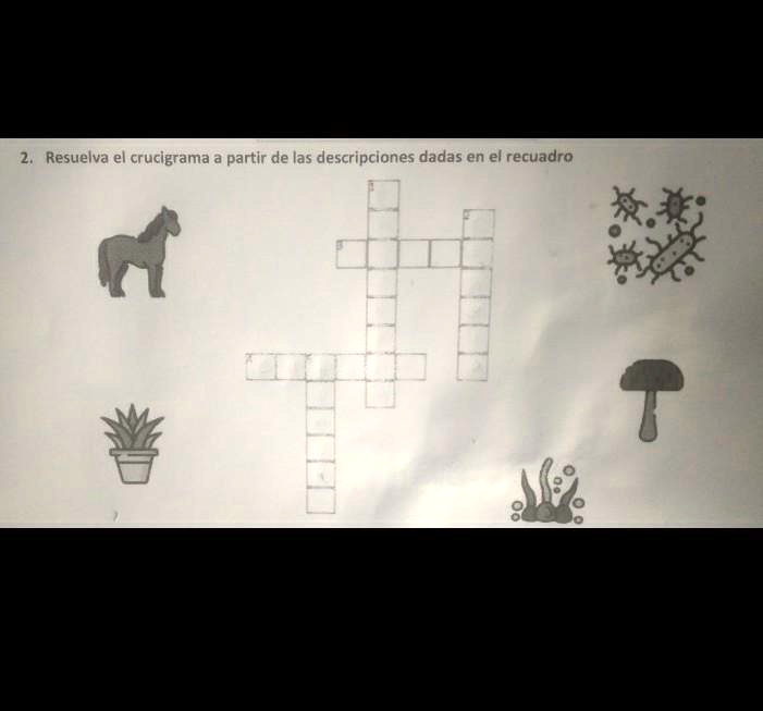 SOLVED: ayudenme con esa pregunta a completar Resuelva el crucigrama a ... SOLVED: ayudenme con esa pregunta a completar Resuelva el crucigrama a ...