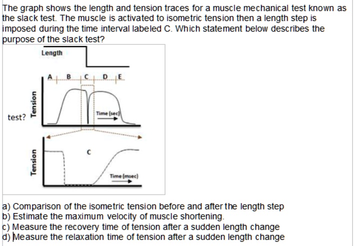SOLVED: The graph shows the length and tension traces for a muscle ...