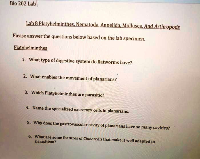 SOLVED: Bio 202 Lab; Lab 8: Platyhelminthes, Nematoda, Annelida ...