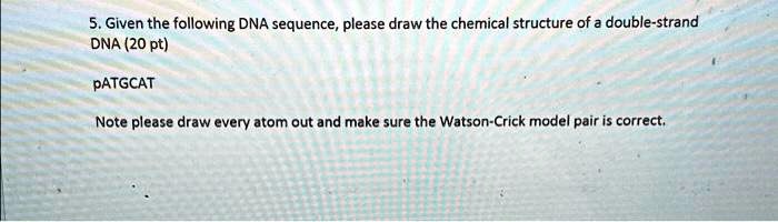5. Given the following DNA sequence, please draw the chemical structure ...