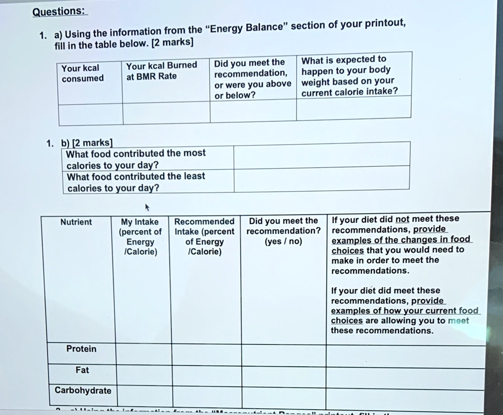 questions information from the energy balance section of your printout ...