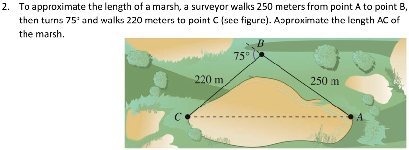 to approximate the length of a marsh a surveyor walks 250 meters from ...