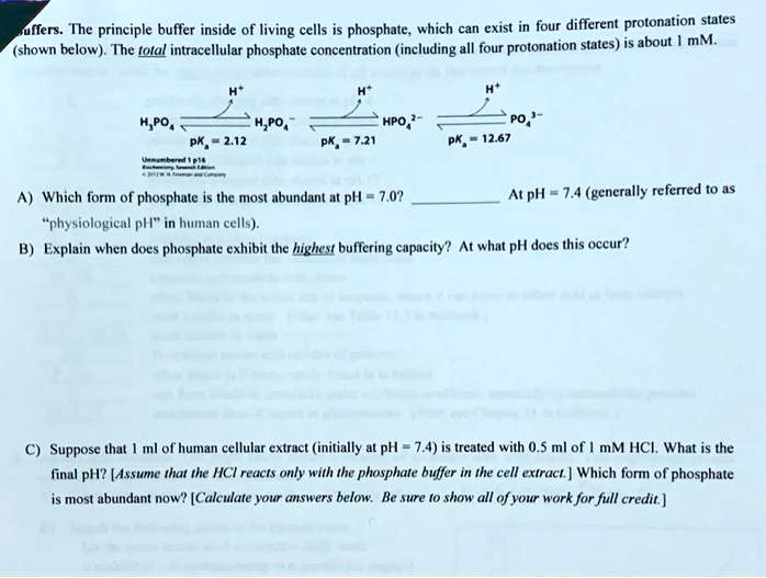 SOLVED: Buffers: The principal buffer inside of living cells is ...