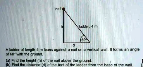 SOLVED: ladder A ladder of length leans against nail on vertical wall It forms a angle of 60 ...