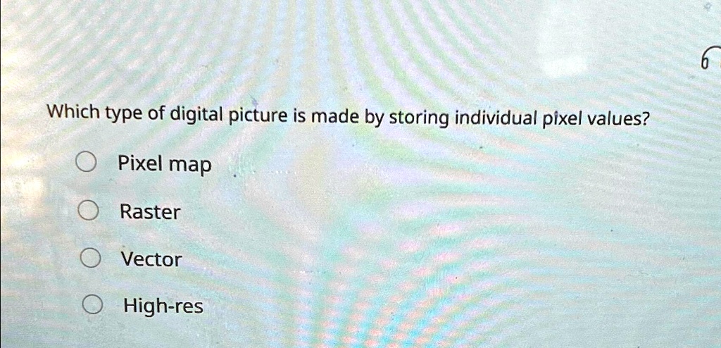 Which type of digital picture is made by storing individual pixel ...