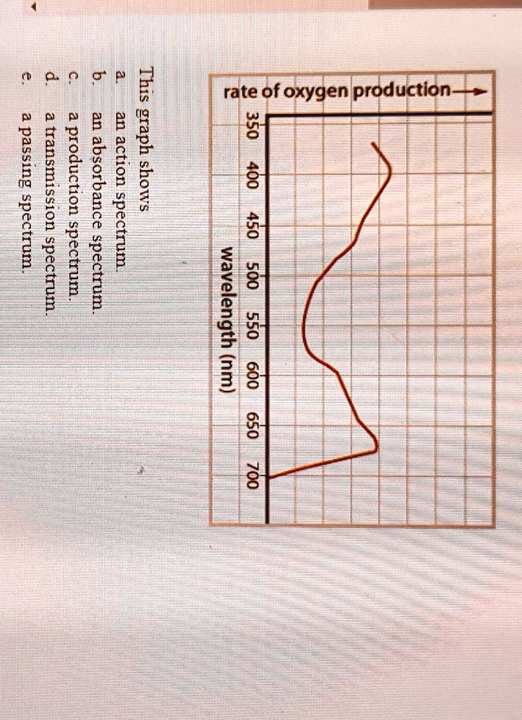 SOLVED: This graph shows rate of oxygen production a passing spectrum a ...