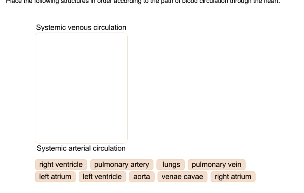 SOLVED: Systemic venous circulation Systemic arterial circulation right ventricle pulmonary ...