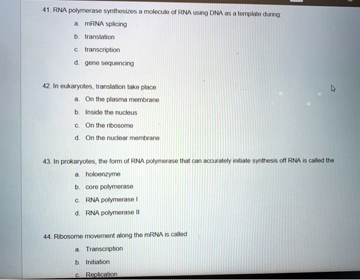 SOLVED: RNA polymerase synthesizes a molecule of RNA using DNA as a ...