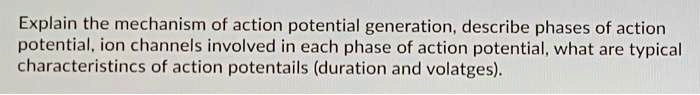 Explain the mechanism of action potential generation, describe phases ...