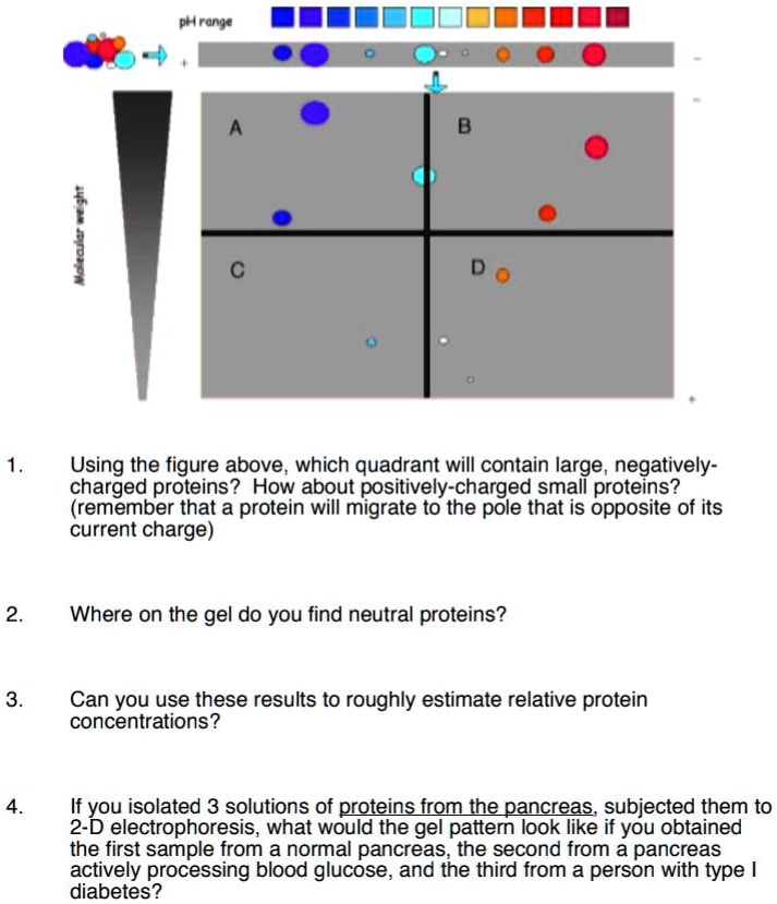 SOLVED: Using the figure above, which quadrant will contain large ...