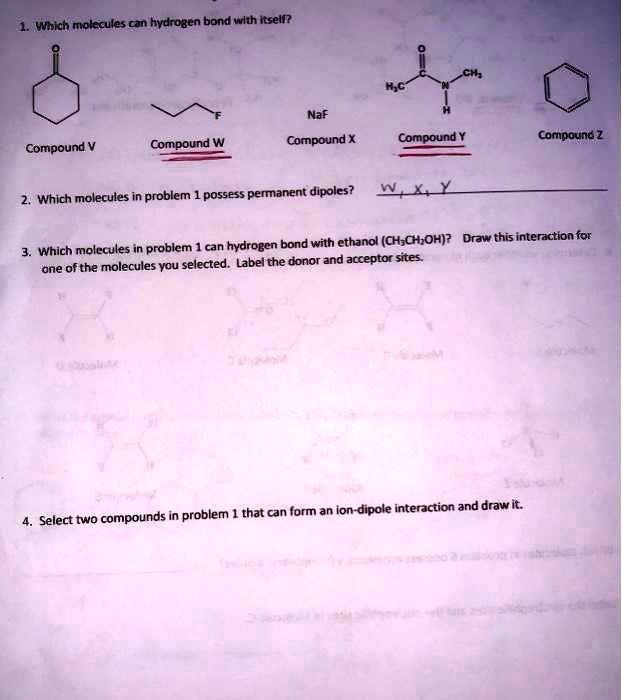 SOLVED:Which molecules can hvdrogen bond wlth Itself? Naf Compound X ...