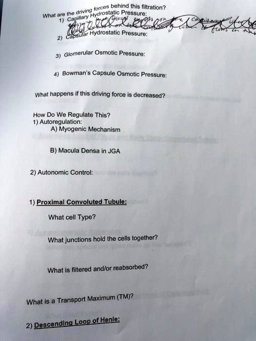 SOLVED: forcos . behind this filtration? Jnving What ar the Hydrostalic ...