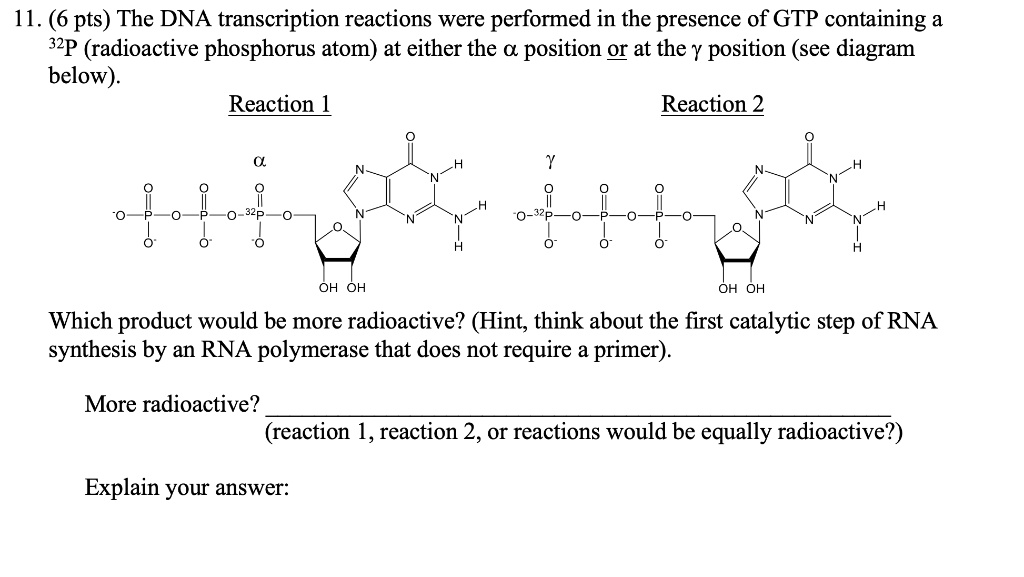 Rna Polymerase Reaction