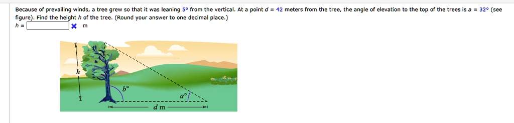 because prevailing winds tree grew so that it was leaning from the vertical at point figure find ...
