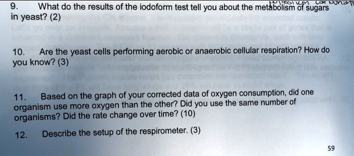 SOLVED: What do the results of the iodoform test tell you about the ...