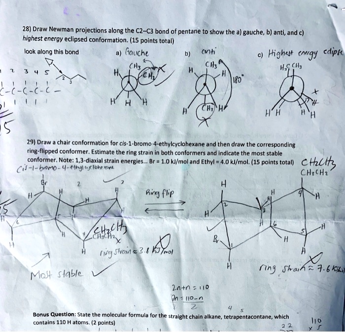 28 draw newman projections along the c2 c3 bond of pentane to show the ...