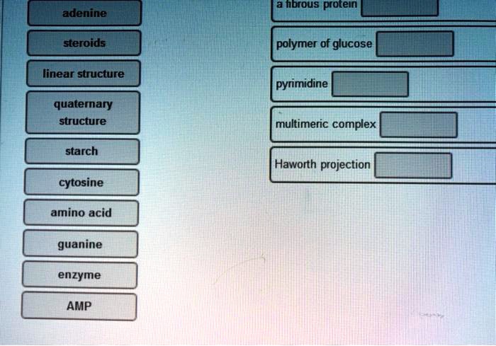 SOLVED: A fibrous protein adenine steroids polymer of glucose linear ...