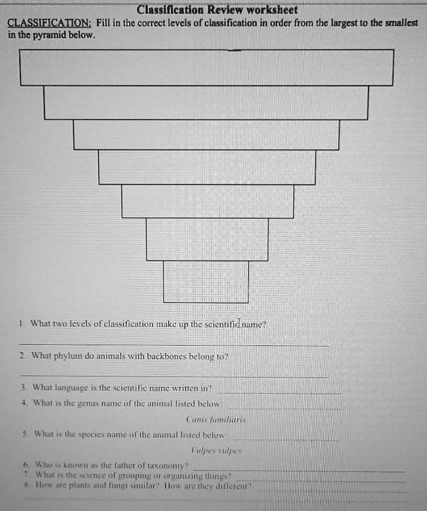 Classification Review worksheet CLASSIFICATION: Fill in the correct ...