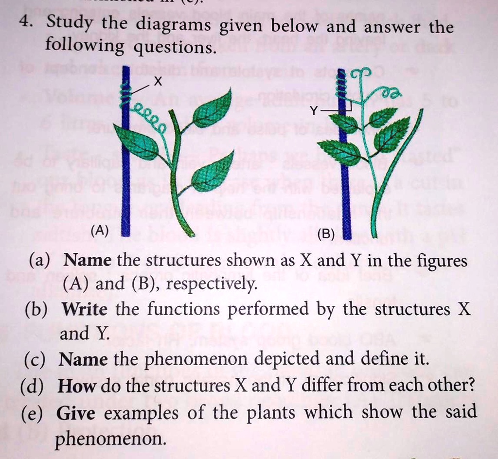 SOLVED: 'study the diagrams given below and answer the following ...
