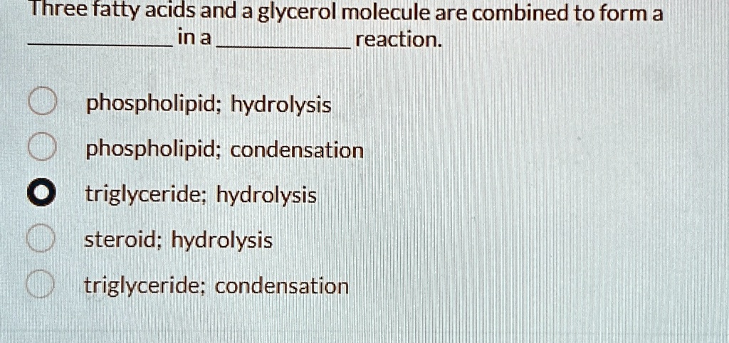 three fatty acids and a glycerol molecule are combined to form a in a ...