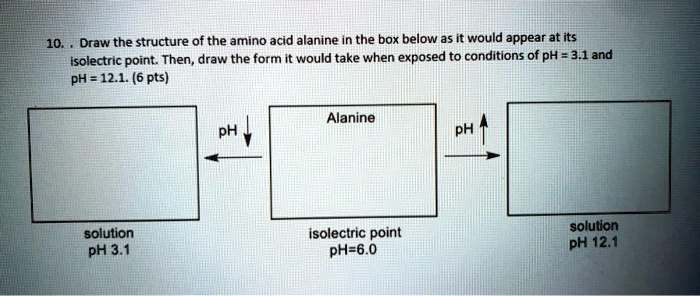SOLVED: 10. Draw the structure of the amino acid alanine in the box ...