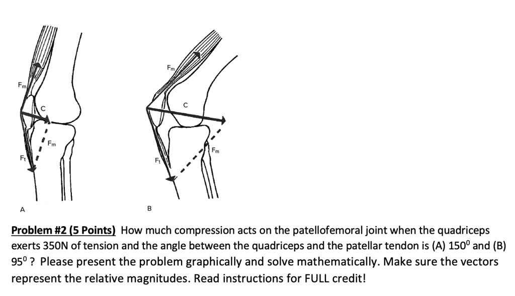 problem 2 5 points how much compression acts on the patellofemoral ...