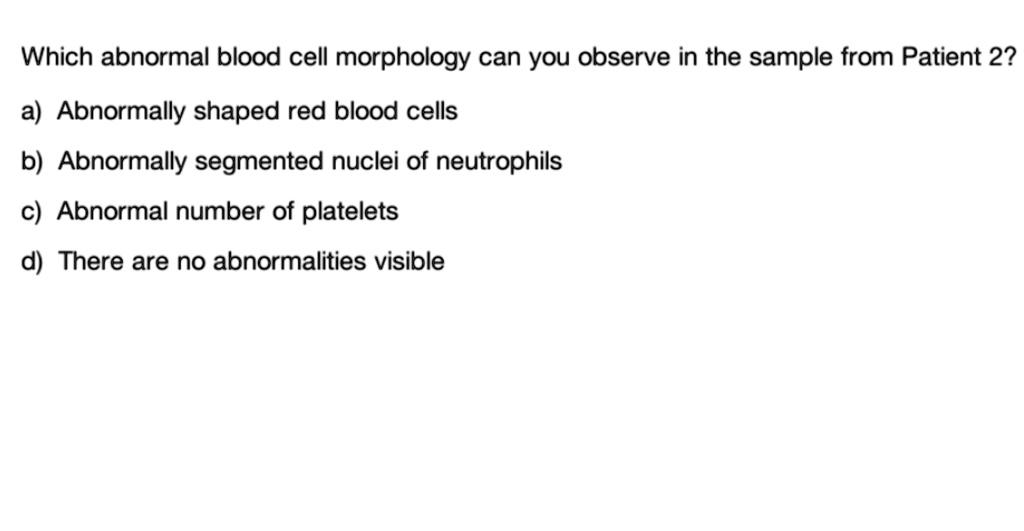 SOLVED: Which abnormal blood cell morphology can you observe in the ...