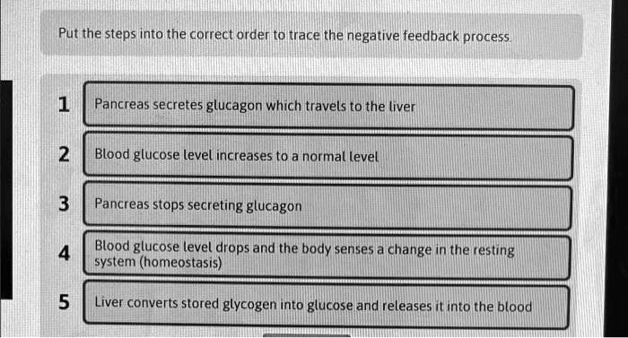 put the steps into the correct order to trace the negative feedback ... put the steps into the correct order to trace the negative feedback ...