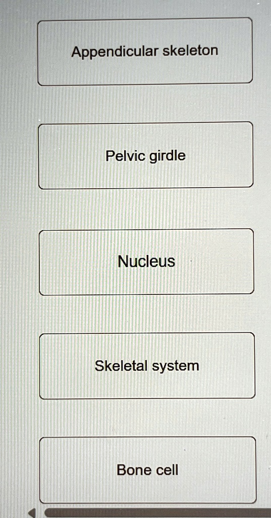 rank these largest to smallest, Appendicular skeleton Pelvic girdle ...
