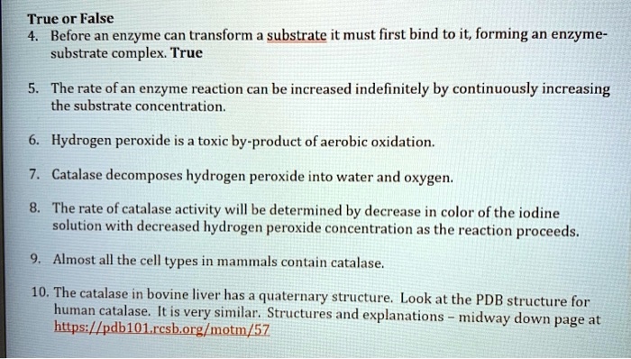 SOLVED: True or False: Before an enzyme can transform substrate, it ...