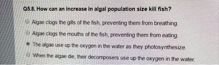 SOLVED: Algae clogs the gills of the fish, preventing them from ...