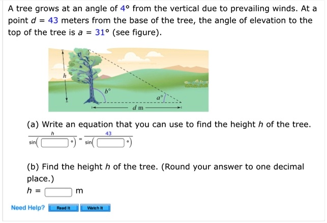 A tree grows at an angle of 4º from the vertical due to prevailing ...