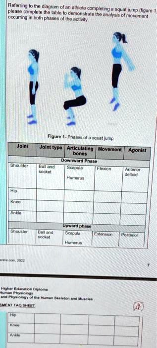 Referring to the diagram of an athlete completing a squat jump (figure ...