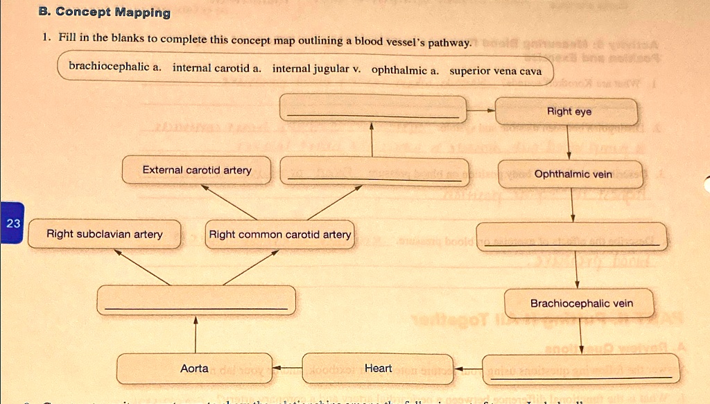 B. Concept Mapping 1. Fill in the blanks to complete this concept map ...