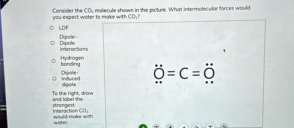 Consider the CO2 molecule shown in the picture. What intermolecular ...