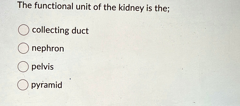 The functional unit of the kidney is the; collecting duct nephron ...