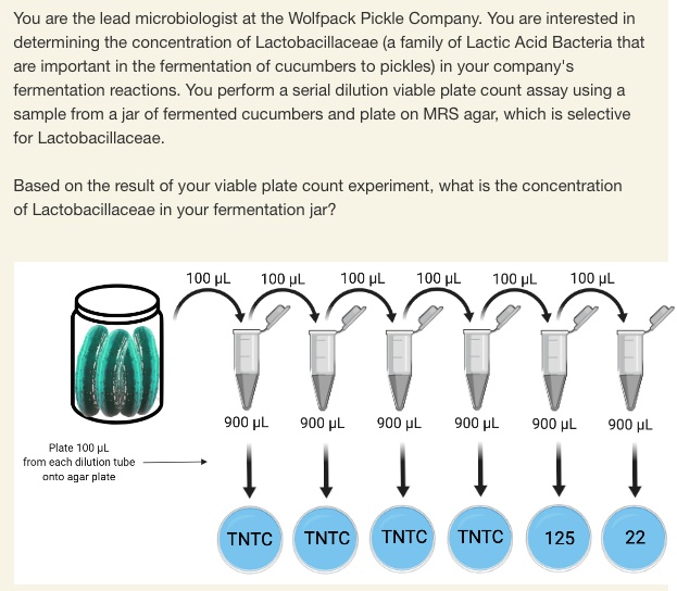 Texts: You are the lead microbiologist at the Wolfpack Pickle Company ...