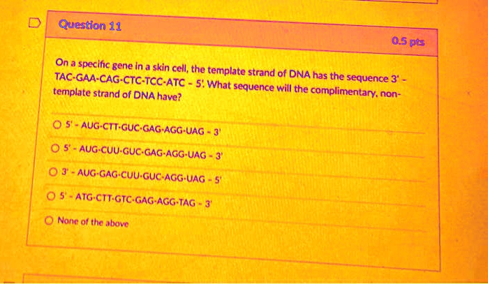 SOLVED: On a specific gene in a skin cell, the template TAC-GAA-CAG CTC ...