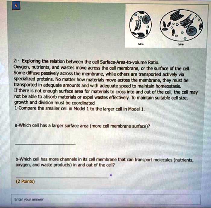 SOLVED: Exploring the relation between the cell Surface-Area-to-volume ...