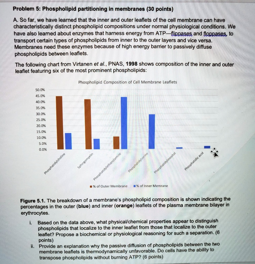 SOLVED: Problem 5: Phospholipid partitioning in membranes (30 points ...