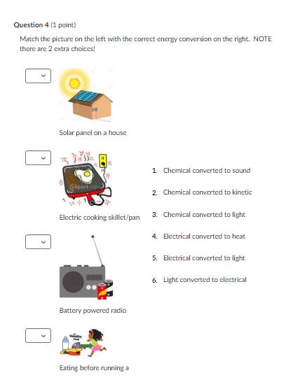 SOLVED: Question 4 (1 point) Match the picture on the left with the ...