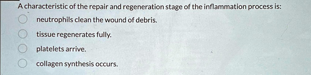 SOLVED: A characteristic of the repair and regeneration stage of the ...
