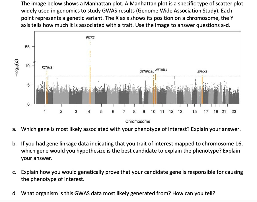 the image below shows a manhattan plot a manhattan plot is a specific ...