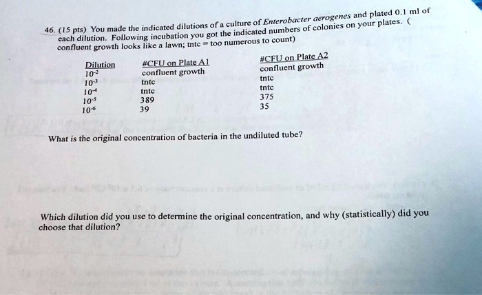 SOLVED: and plated ml of Enterobacter aerogenes culture your plates. 46 ...