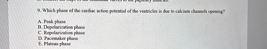 9. Which phase of the cardiac action potential of the ventricles is due ...