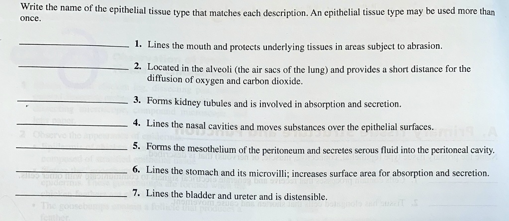 SOLVED: once. diffusion of oxygen and carbon dioxide. 7. Lines the ...