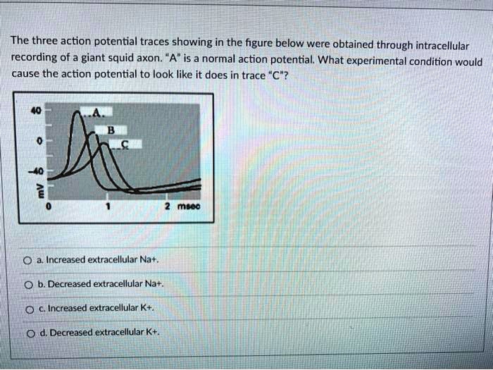 The three action potential traces showing in the figure...