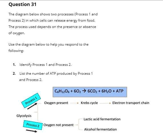 SOLVED: HELP ME AND I WILL HELP YOU!!!! Question 31 The diagram below ...
