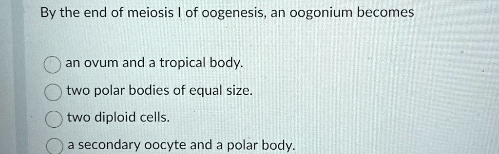 By the end of meiosis I of oogenesis, an oogonium becomes an ovum and a ...